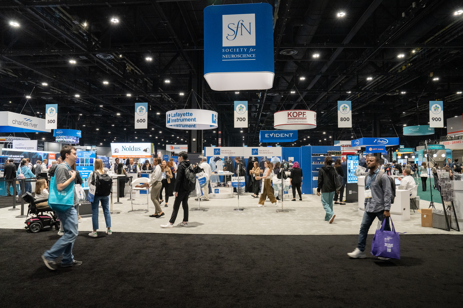 2026 SfN Membership Promotion for Neuroscience 2025 Attendees