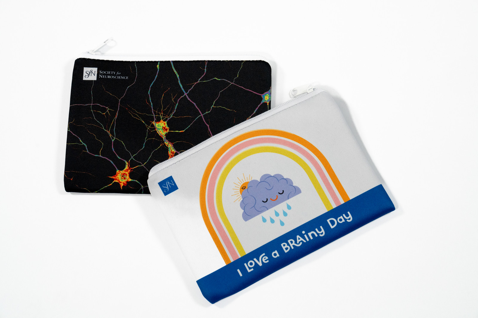 2026 SfN Membership Promotion for Neuroscience 2025 Attendees