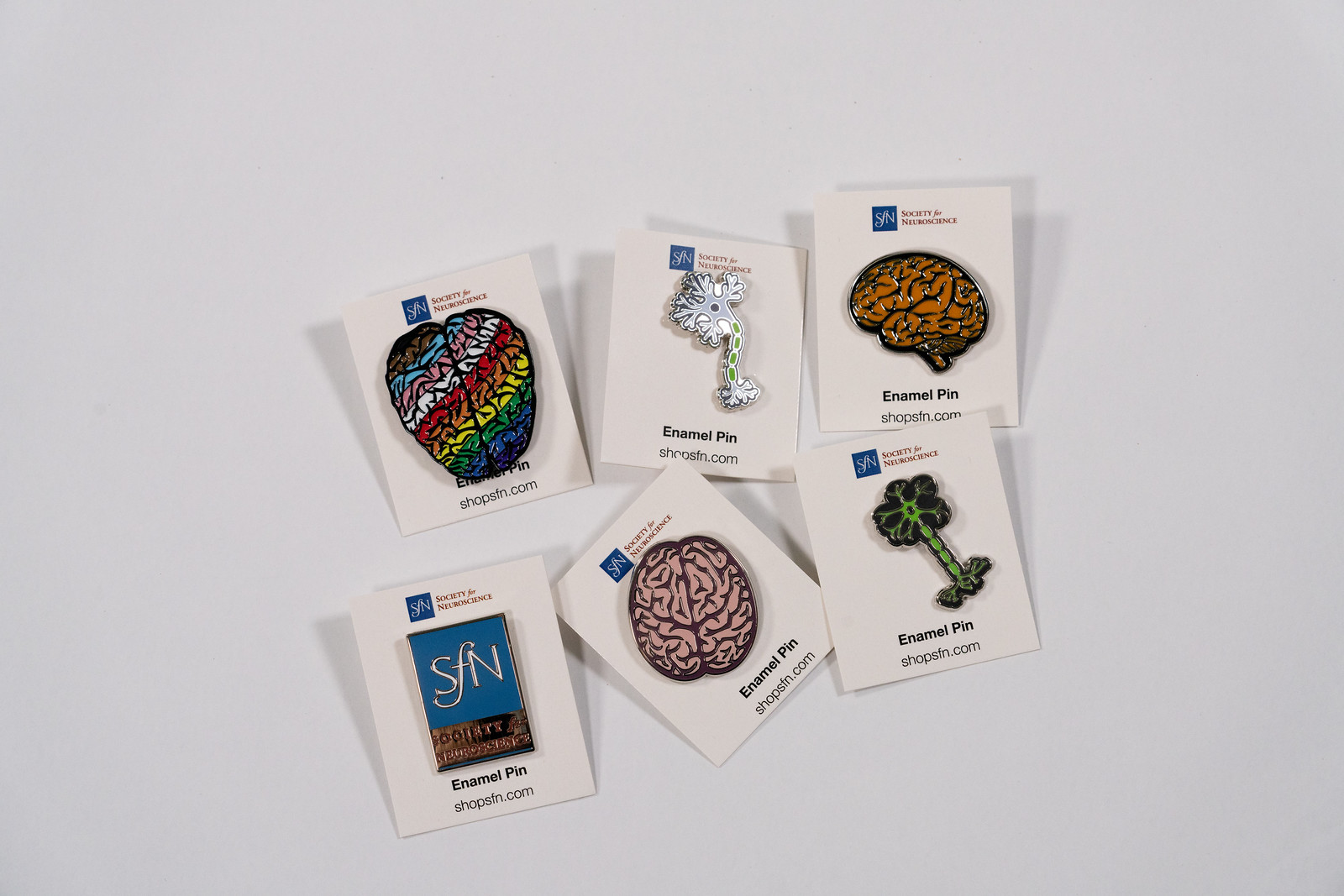 2026 SfN Membership Promotion for Neuroscience 2025 Attendees